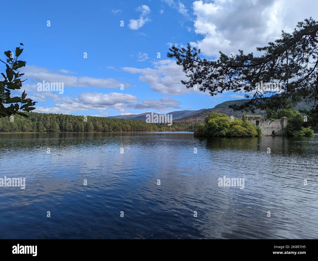 A scenic view from the lakeshore of lush green trees on the hill under ...