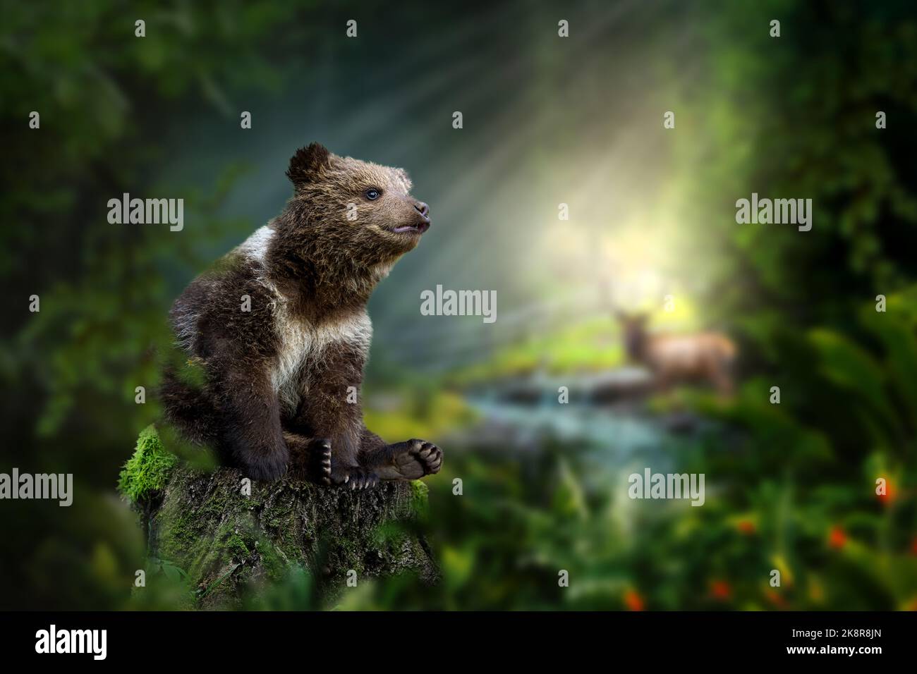 Bear cub sits on a stump in the middle of the forest against the ...