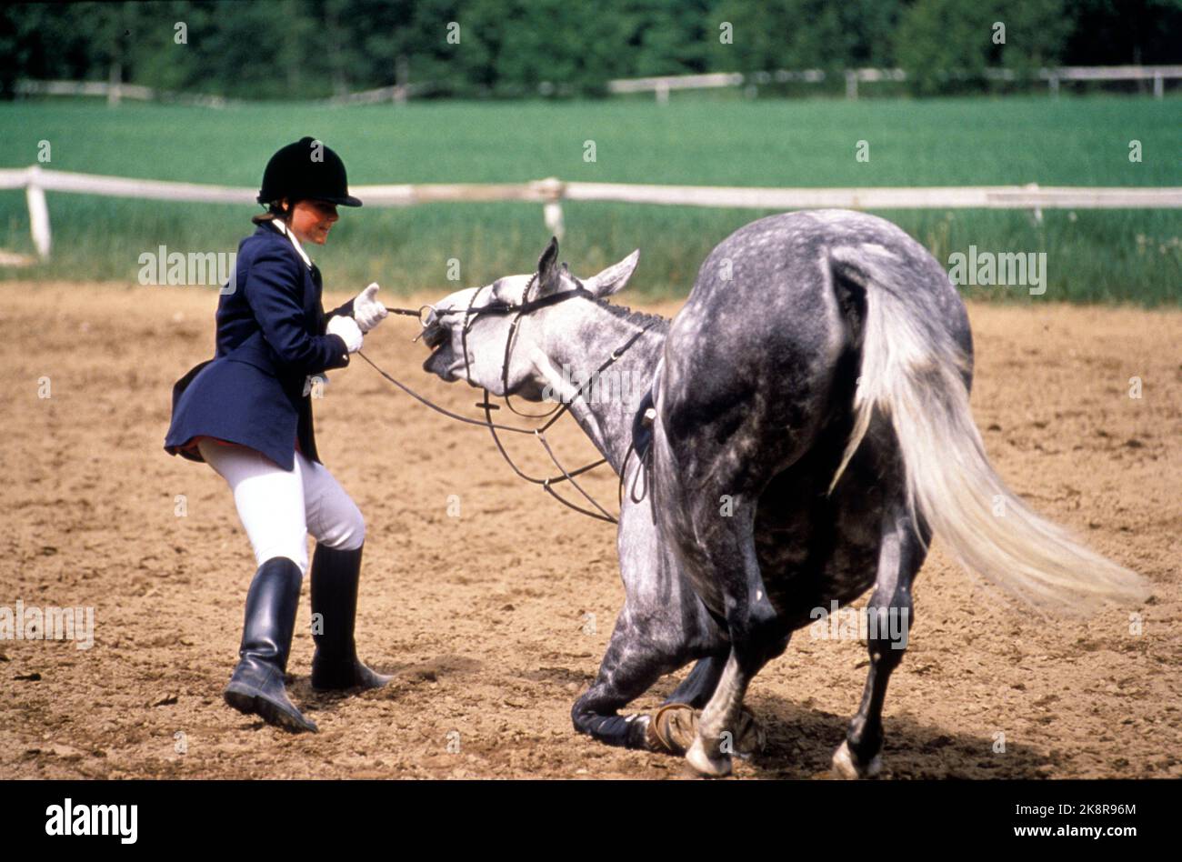 Knut falch ntb full figure alone hi-res stock photography and images ...