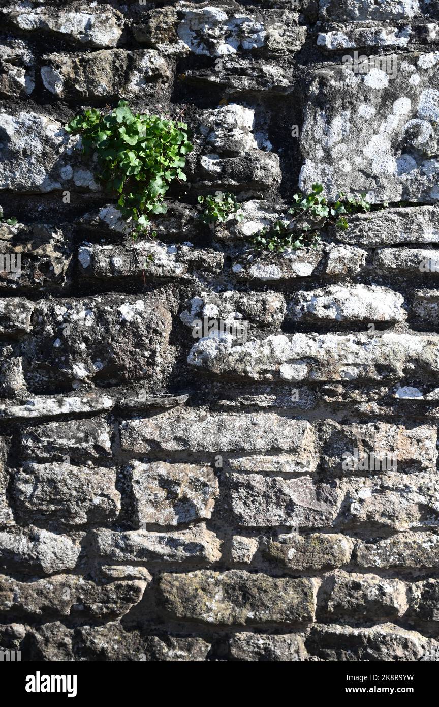 Vintage Old Brick Stone Wall, Background Texture Stock Photo - Alamy