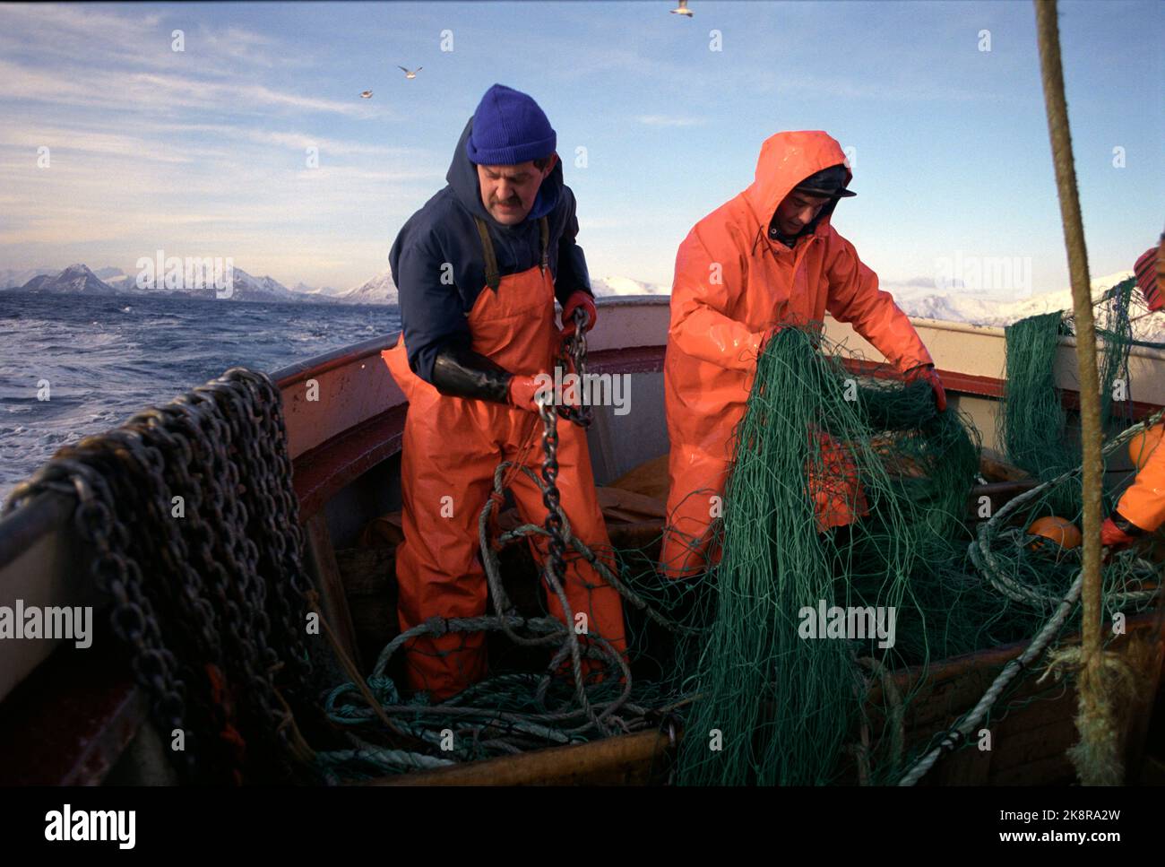 Lofoten february 1991 lofot fishing screi chives hi-res stock ...