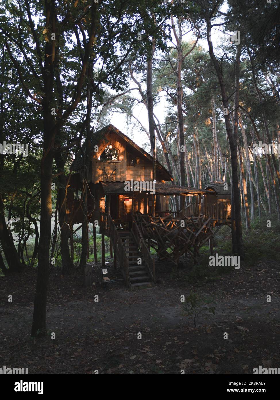 A vertical shot of cute cozy treehouse in the forest Stock Photo - Alamy