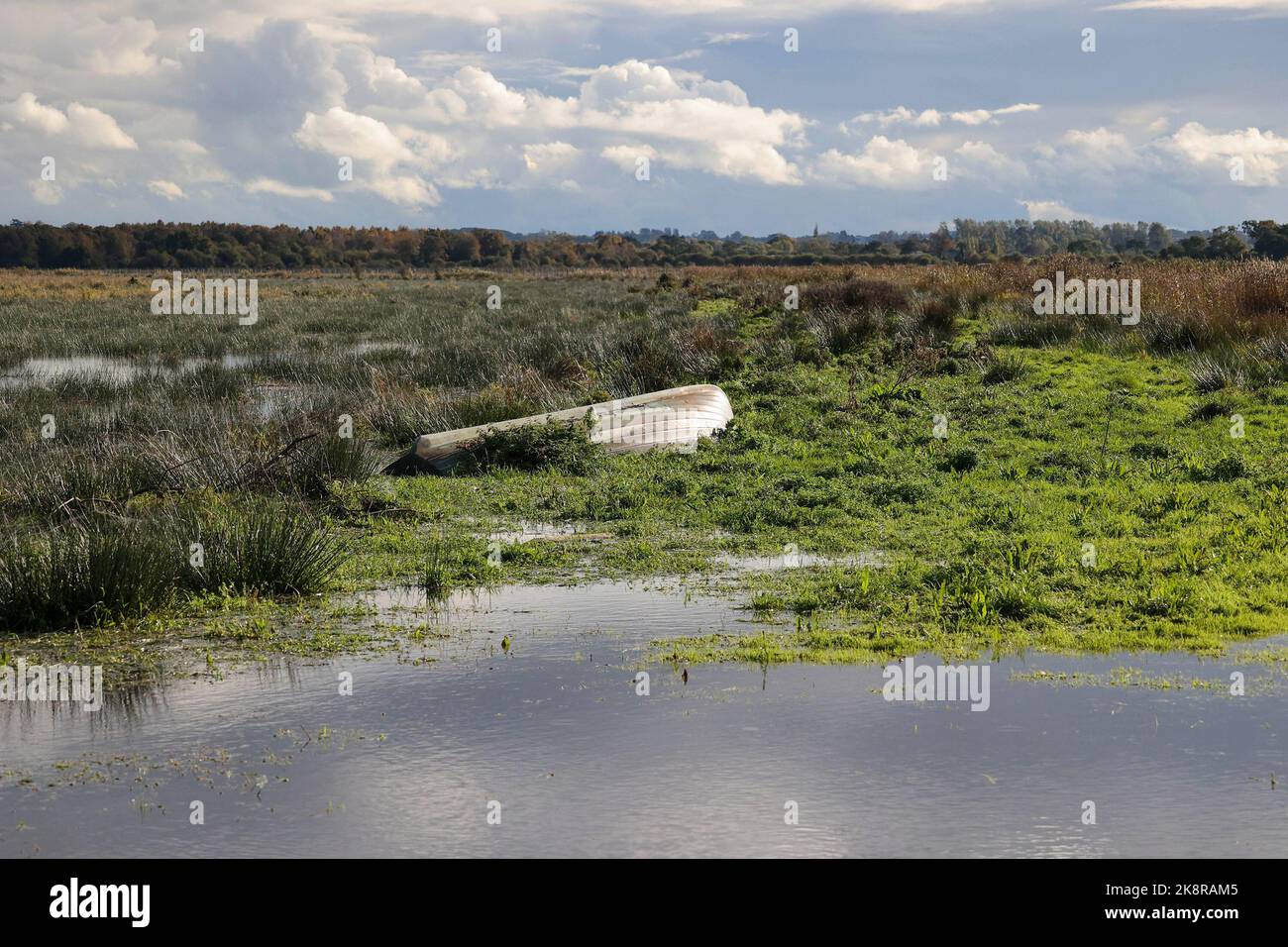 Portmore Lough, near Aghalee, County Antrim, Northern Irleand, UK. 24 ...