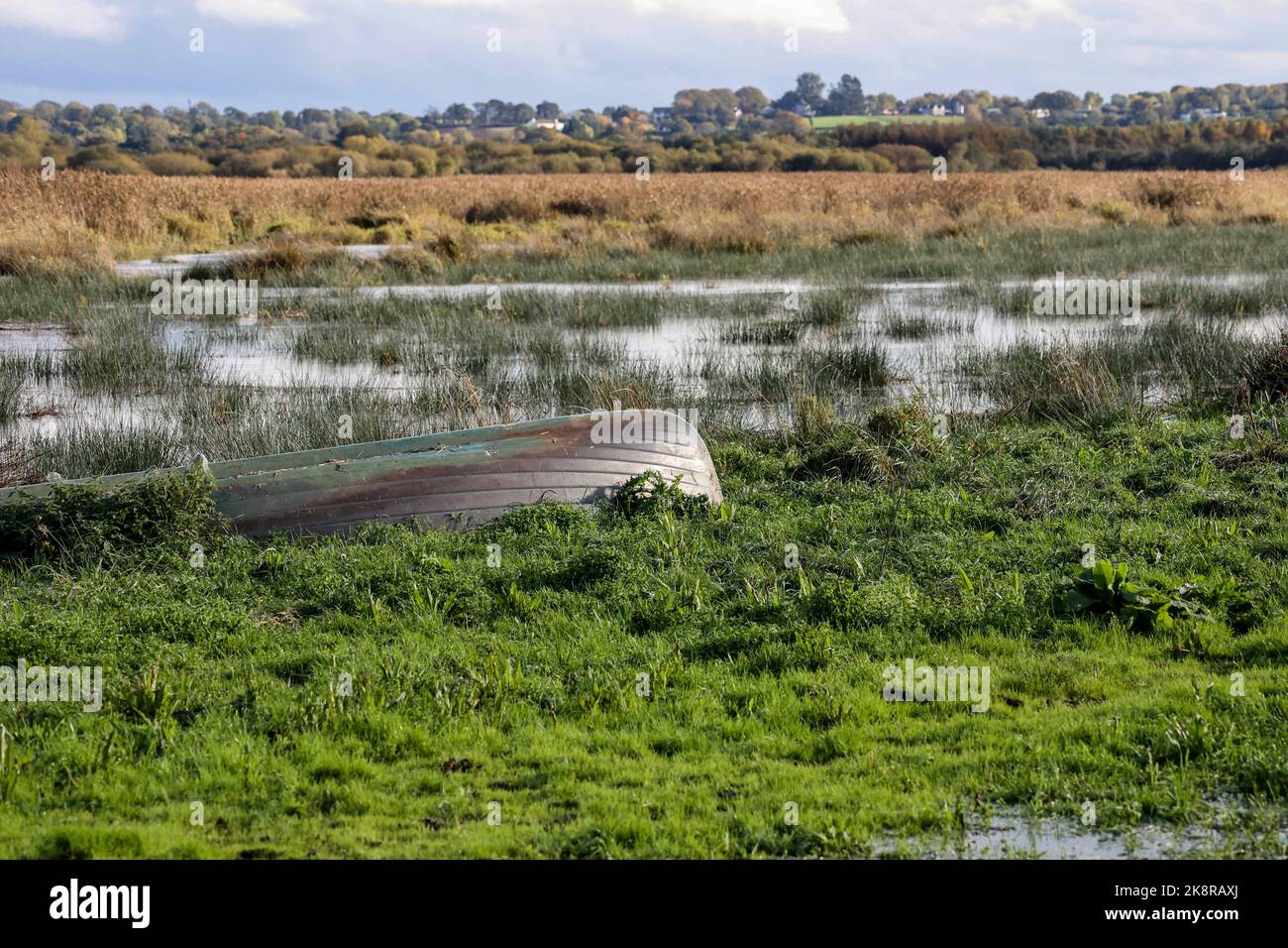 Portmore Lough, near Aghalee, County Antrim, Northern Ireland, UK. 24 ...