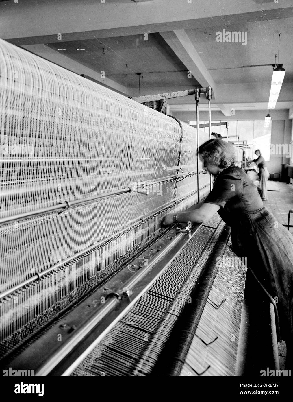 Going nuts Black and White Stock Photos & Images - Alamy