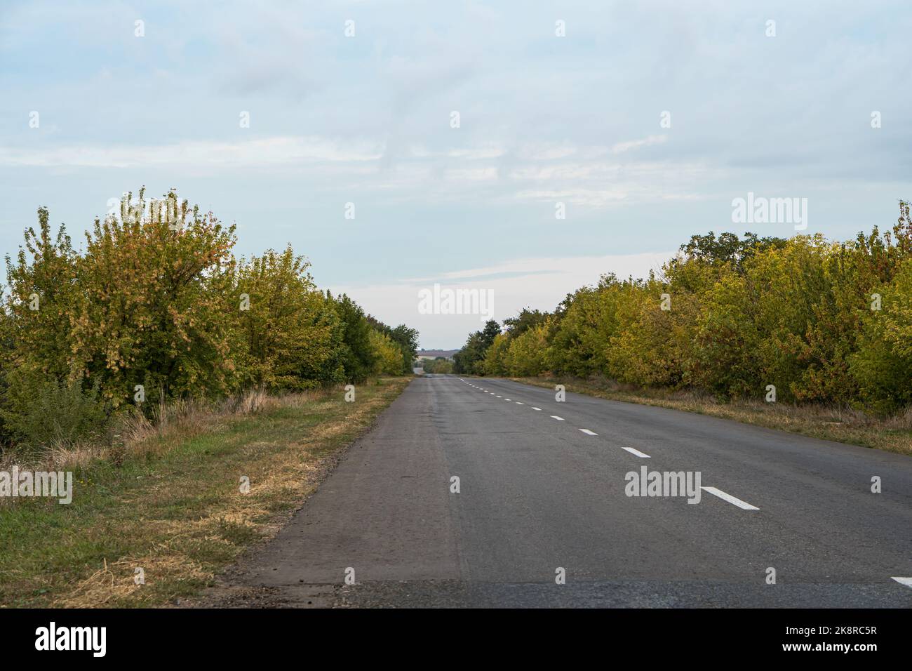 Trees on the roadside hi-res stock photography and images - Alamy