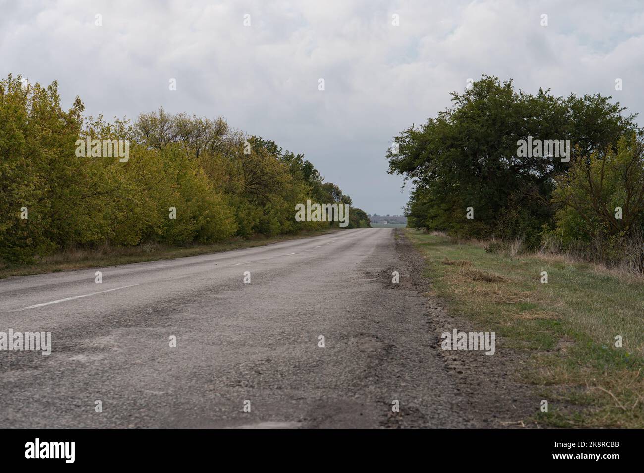 Roadside trees in forest nature hi-res stock photography and images - Alamy