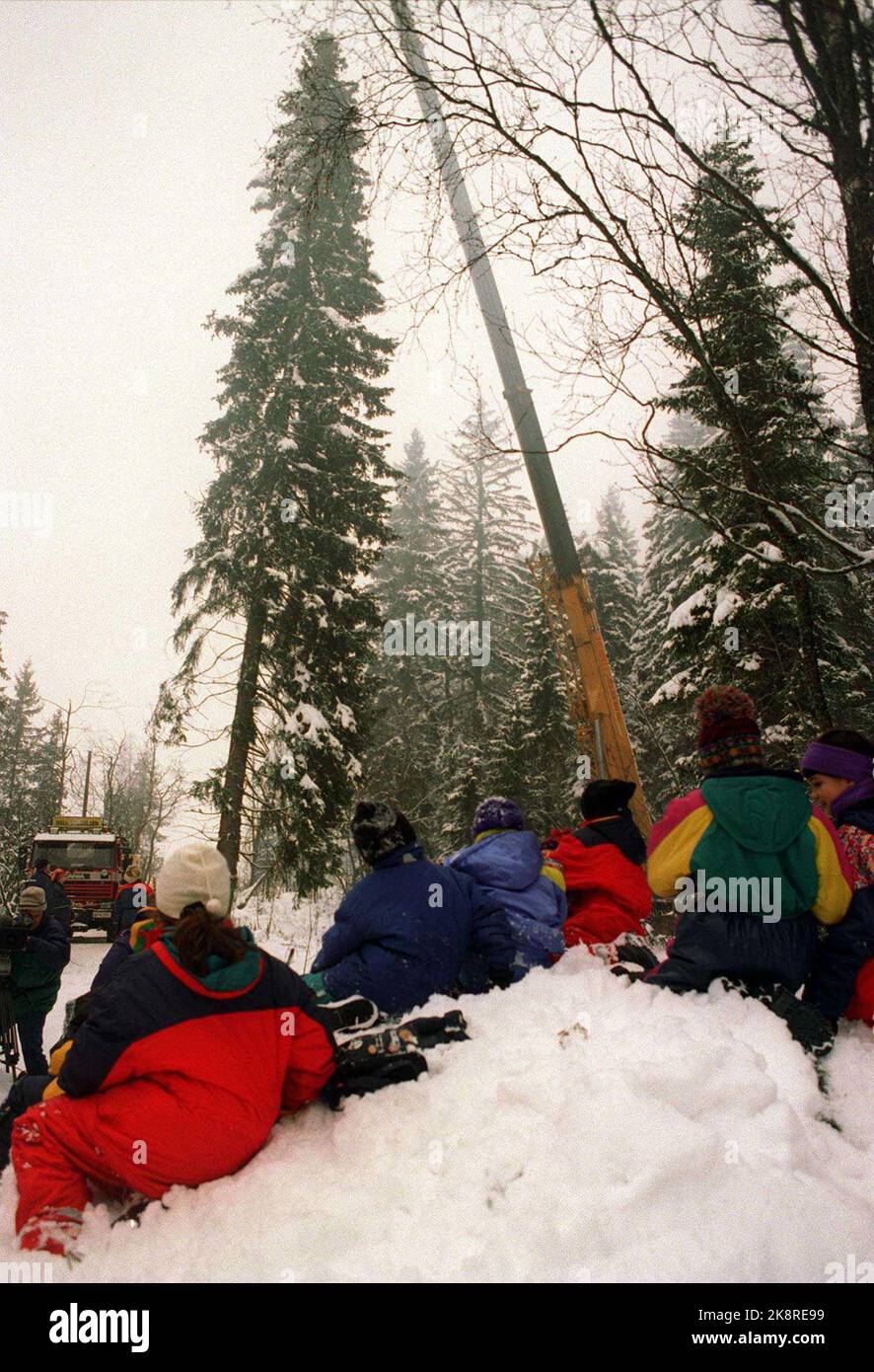 Sonja tree hi-res stock photography and images - Alamy