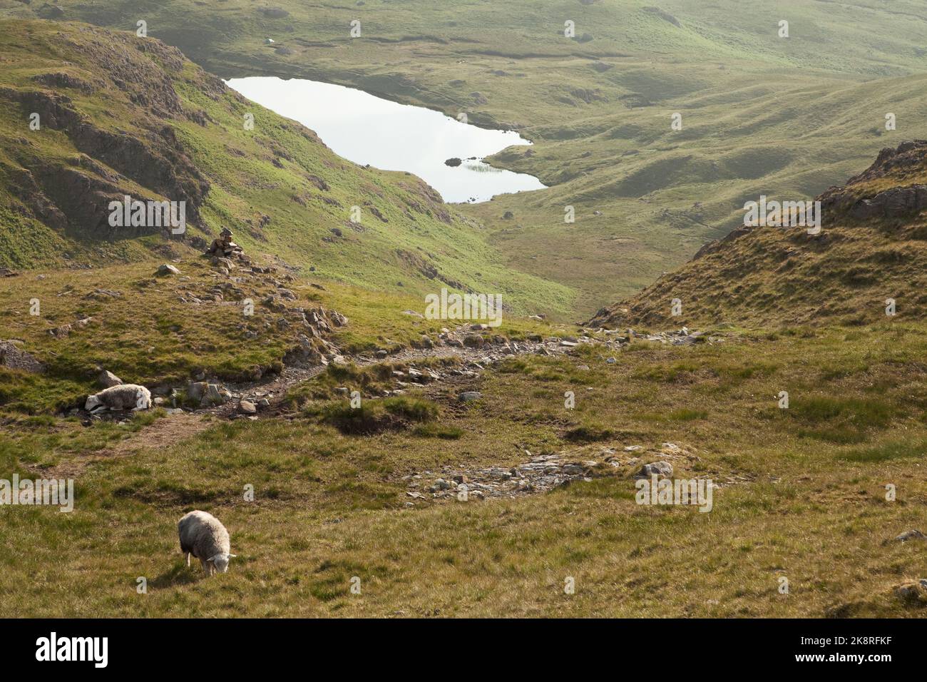 Codale Tarn at the head of Easedale, in the English Lake District Stock ...