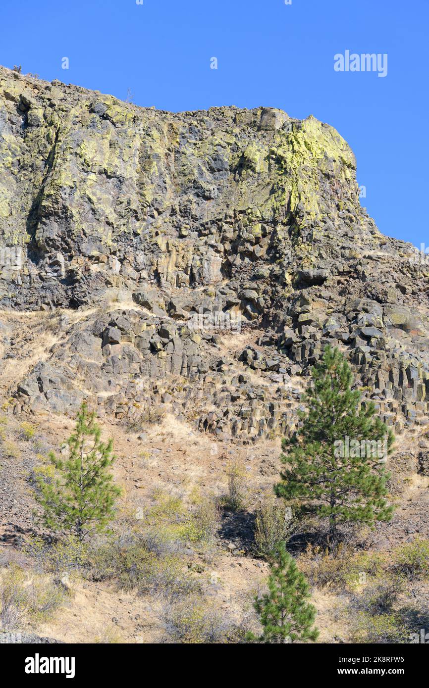 Basalt cliff with trees in dry fall under blue sky in Central ...