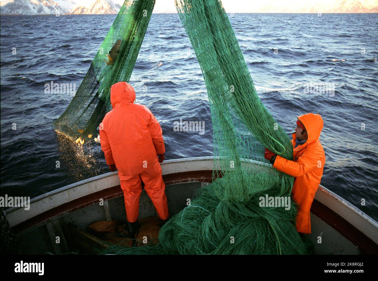 Lofoten february 1991 lofot fishing screi chives hi-res stock ...