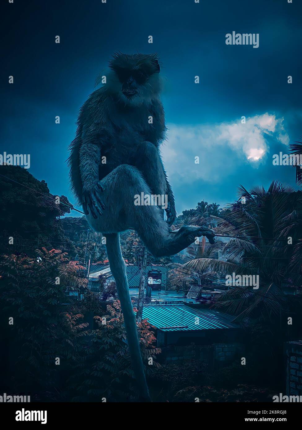 A vertical shot of a monkey sitting on a wire with a background of ...