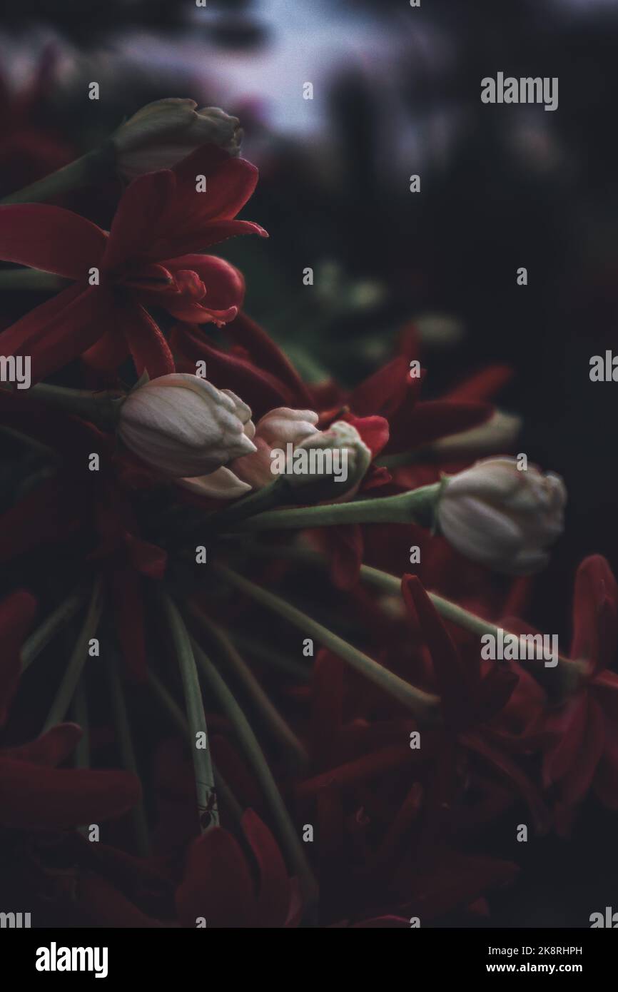 A vertical closeup shot of a pile of flowers in dramatic vintage shades ...