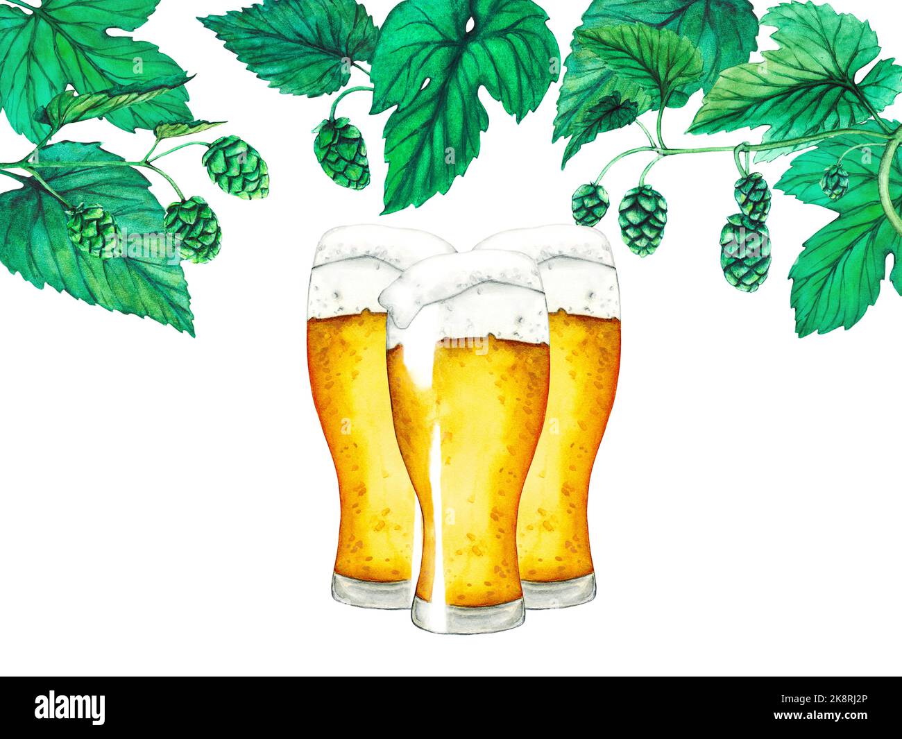 Glass of beer, hop and leaves. Watercolor hand drawn painting ...