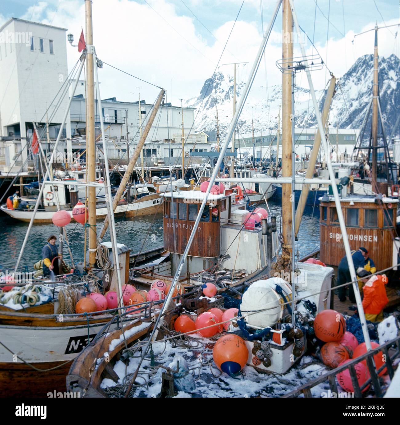 Lofoten 197204. Cod fishing / lofot fishing. The fishing fleet in port ...