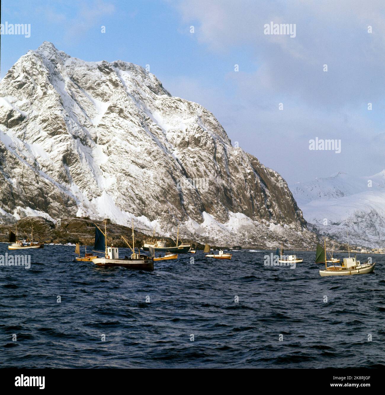 Lofoten 197204. Cod fishing / lofot fishing. Fishing skates on the ...