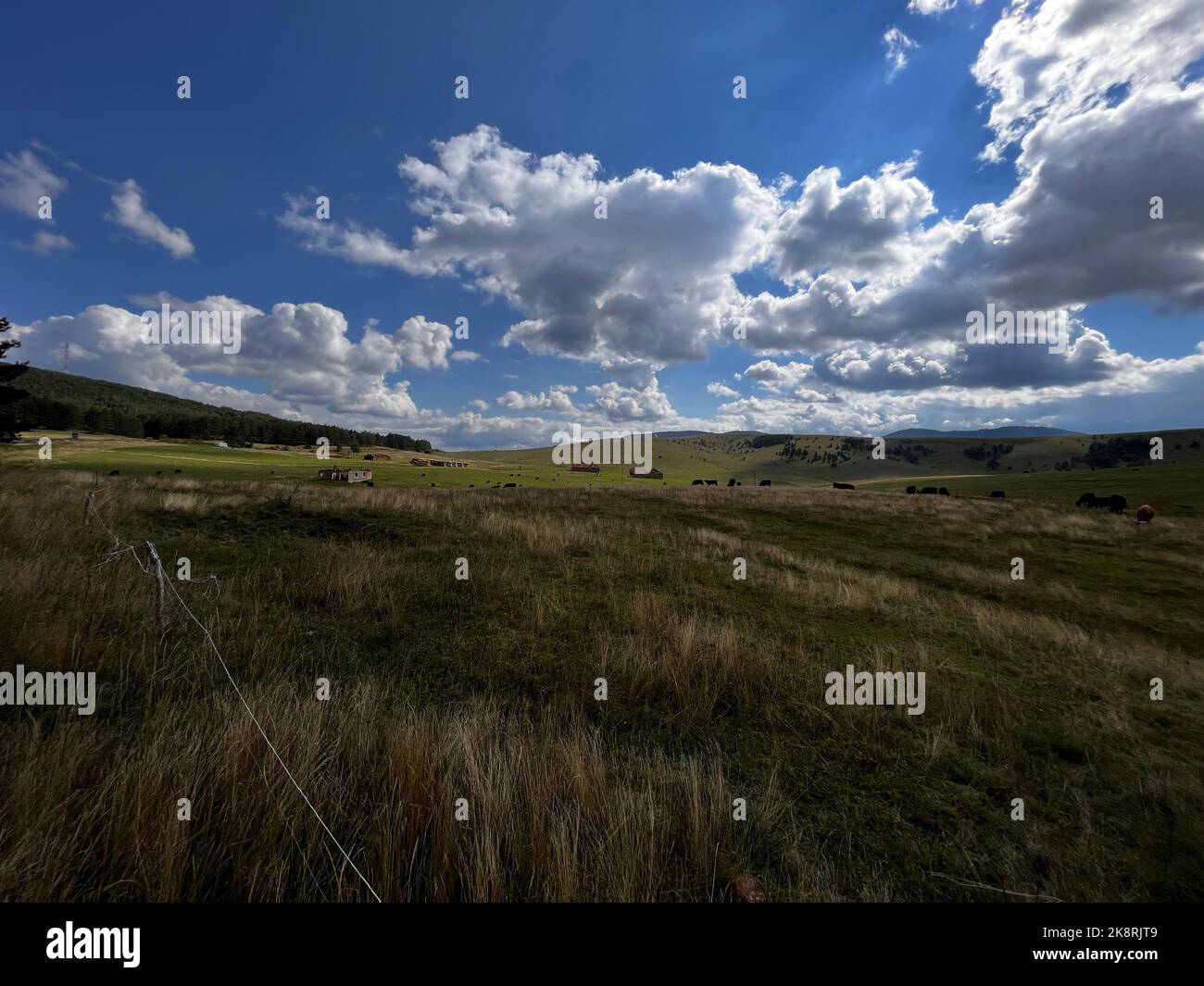 A scenic view of a beautiful meadow with small houses and trees on the ...