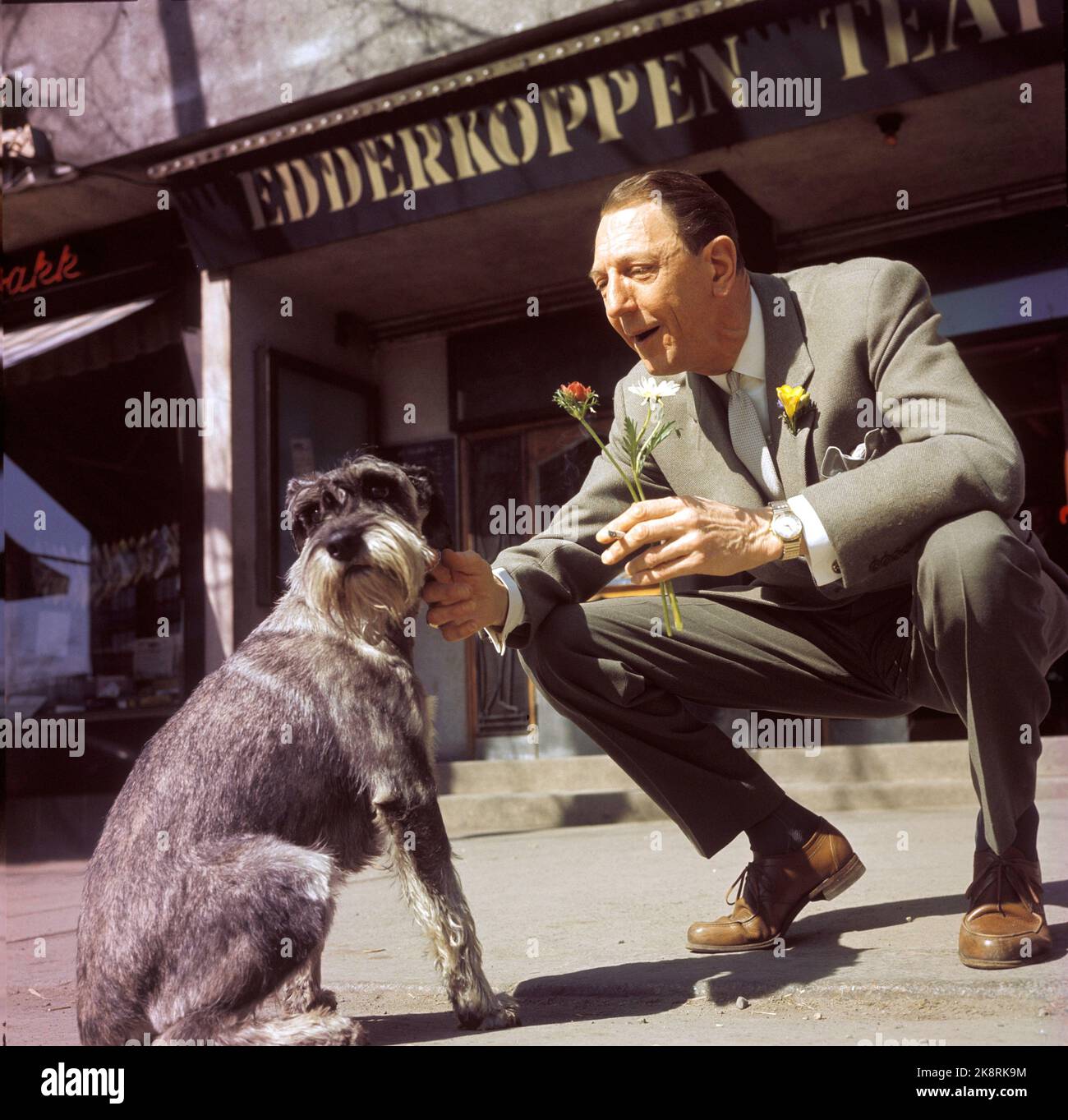 Actor leif adjusts with his dog outside the spider photo hi-res stock ...