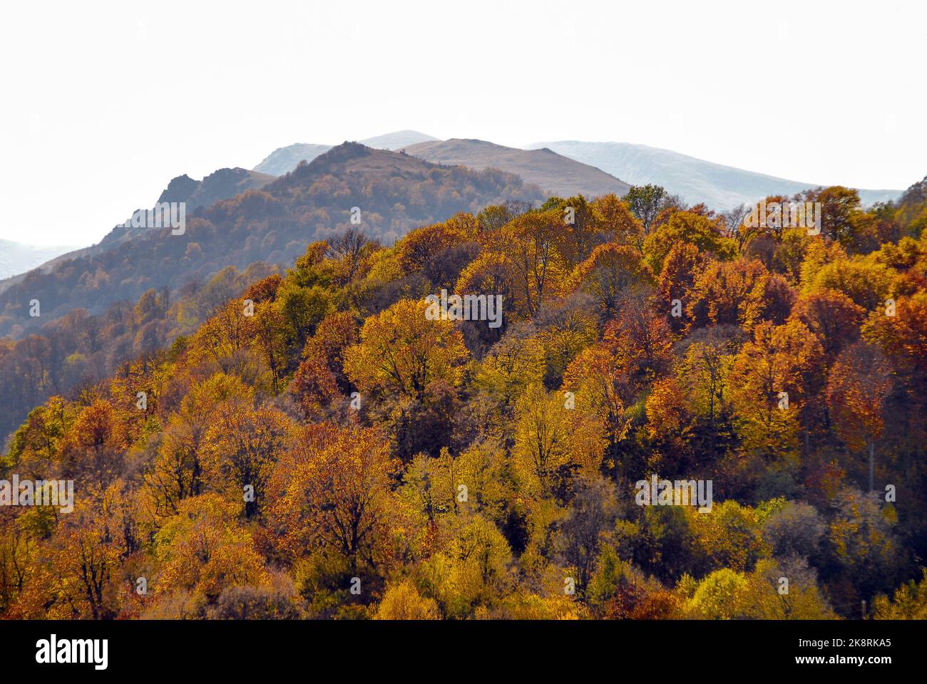 A scenic view of a mountainous region covered with trees with red ...