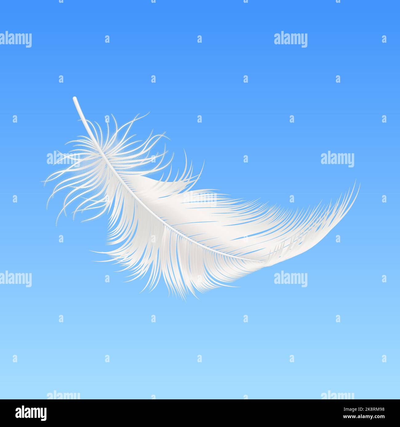 Vector 3d Realistic Falling White Fluffy Feather Closeup on Blue Sky ...