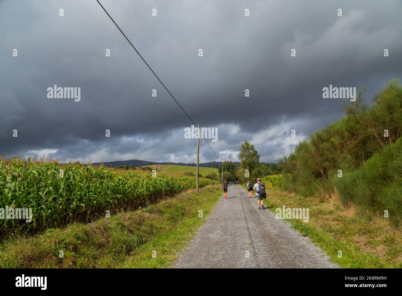 Navarre, Spain, 26 August, 2022: Pilgrims walk along the Camino De ...