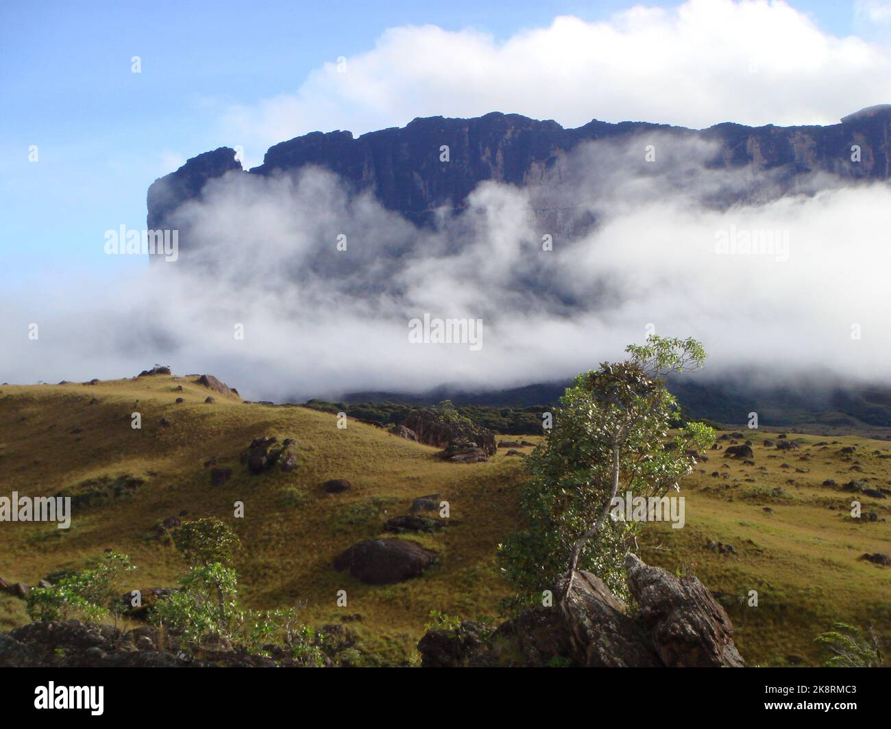 The route to kukenan tepuy in Estado Bolivar, Venezuela on a gloomy day ...