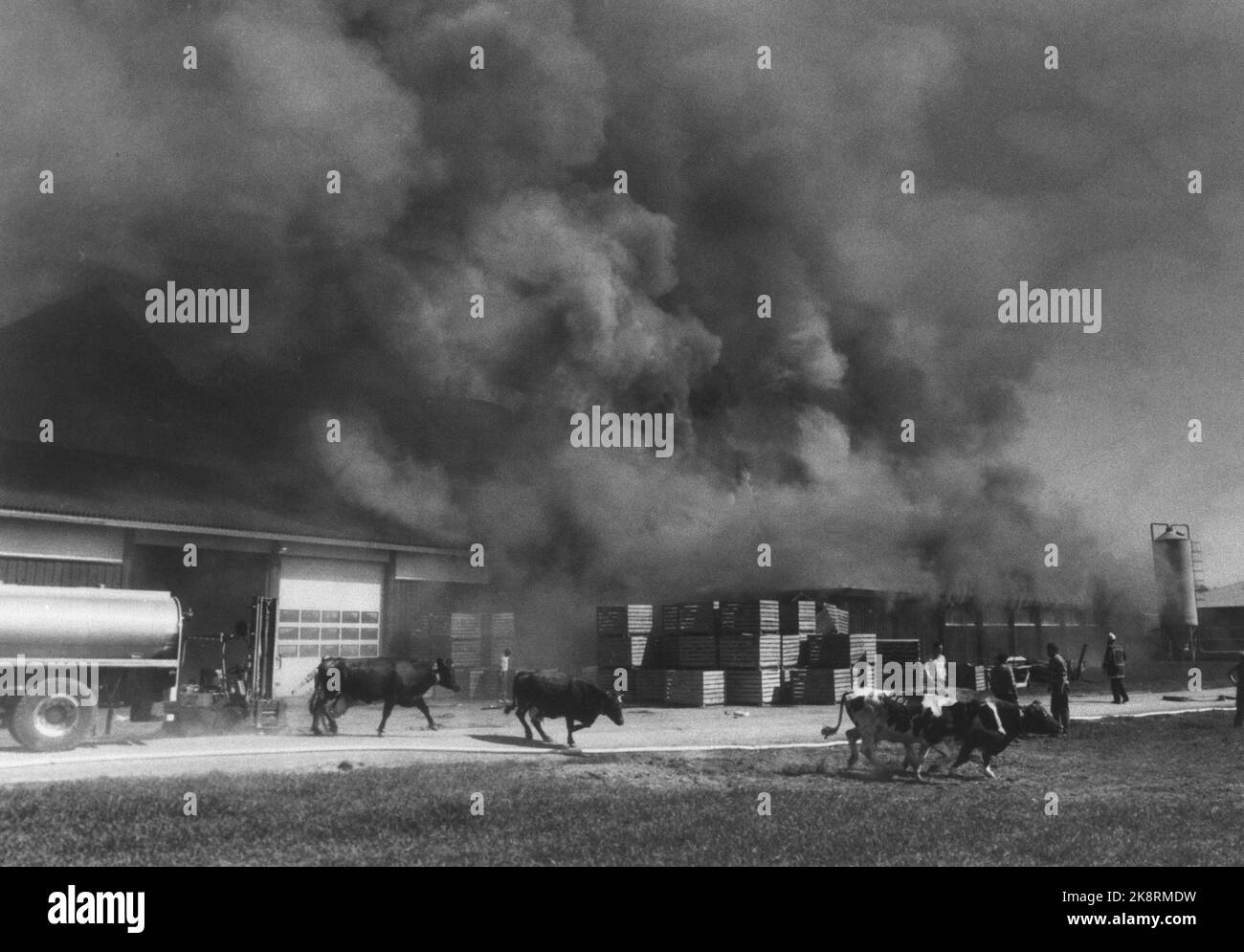 Fritzoe hi-res stock photography and images - Alamy