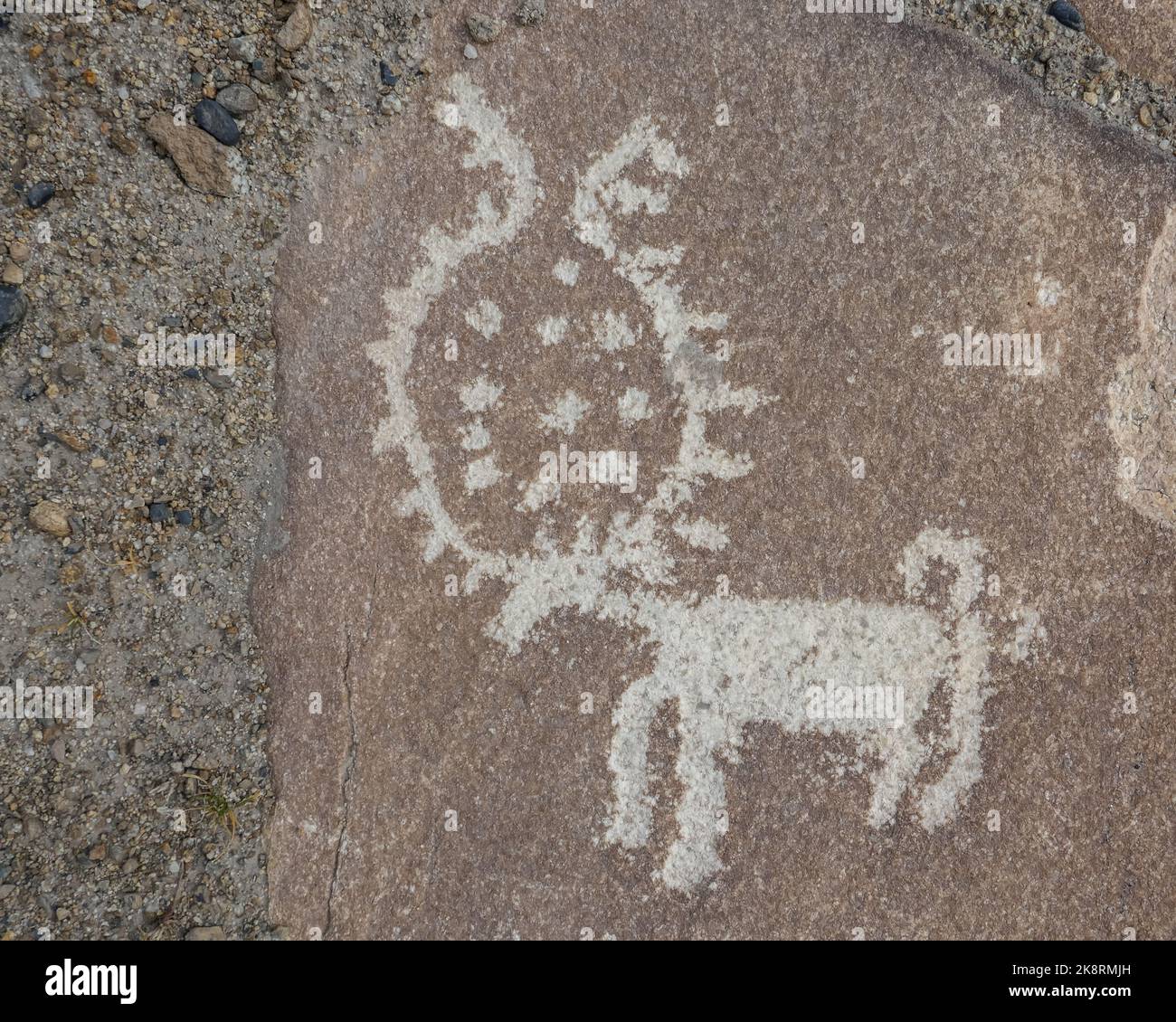 Deer carving on rock: ancient silk road petroglyph above Langar village ...