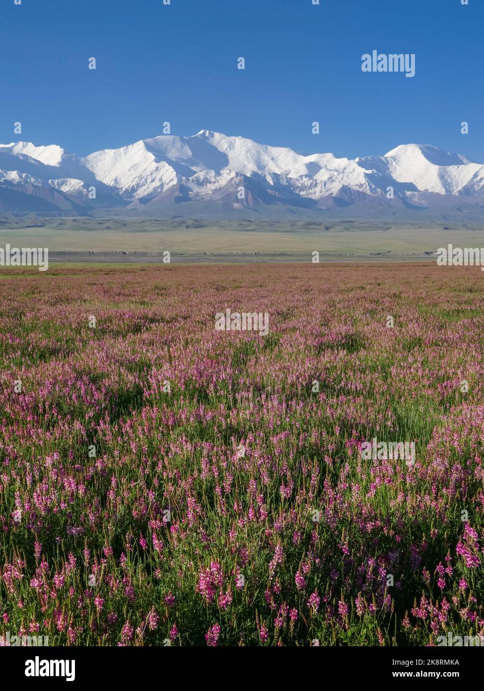 Pink mountain range hi-res stock photography and images - Alamy