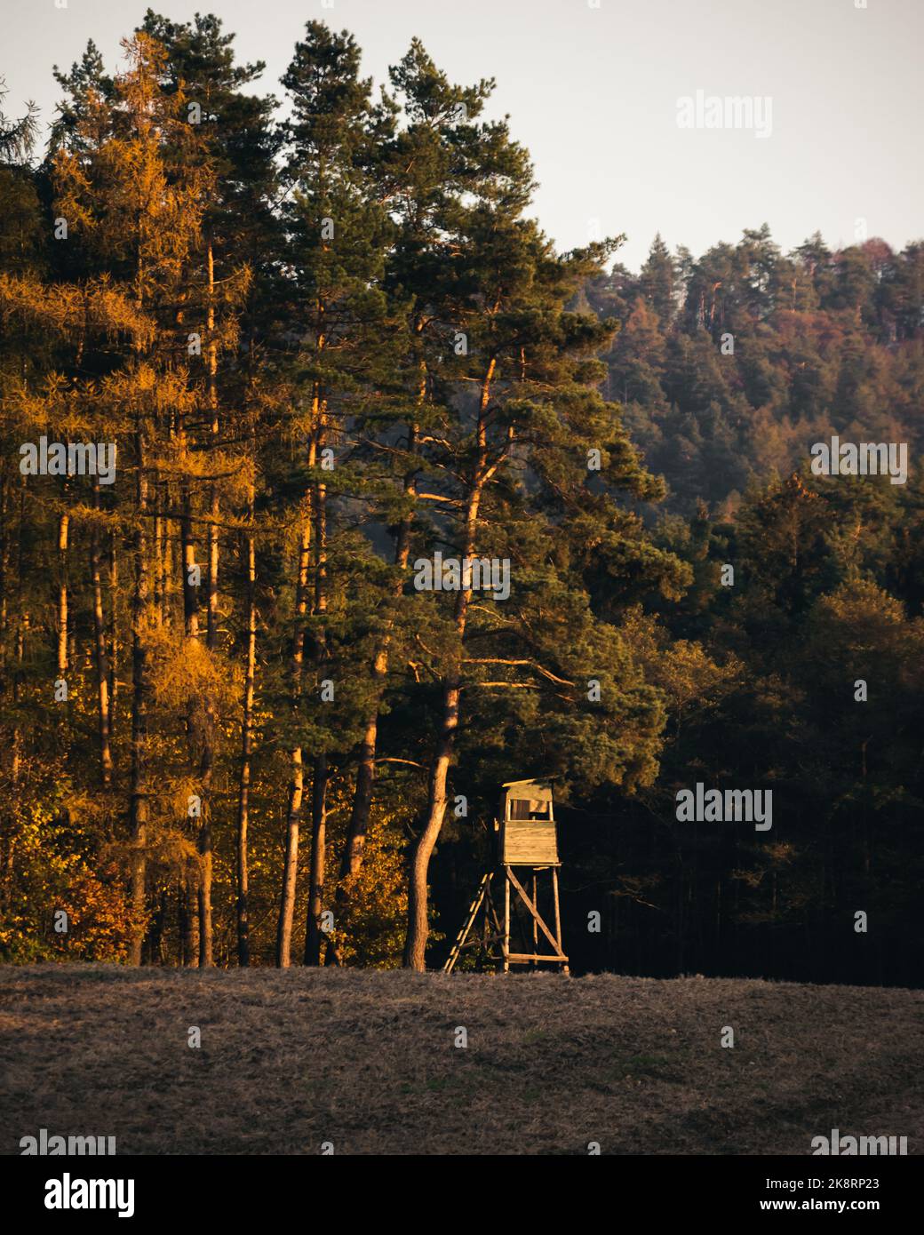 A beautiful view of a lookout tower in a forest with autumn trees Stock ...