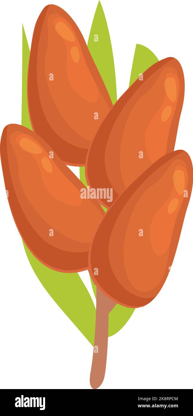 Date fruit tree icon cartoon vector. Palm food. Arabic seed Stock ...