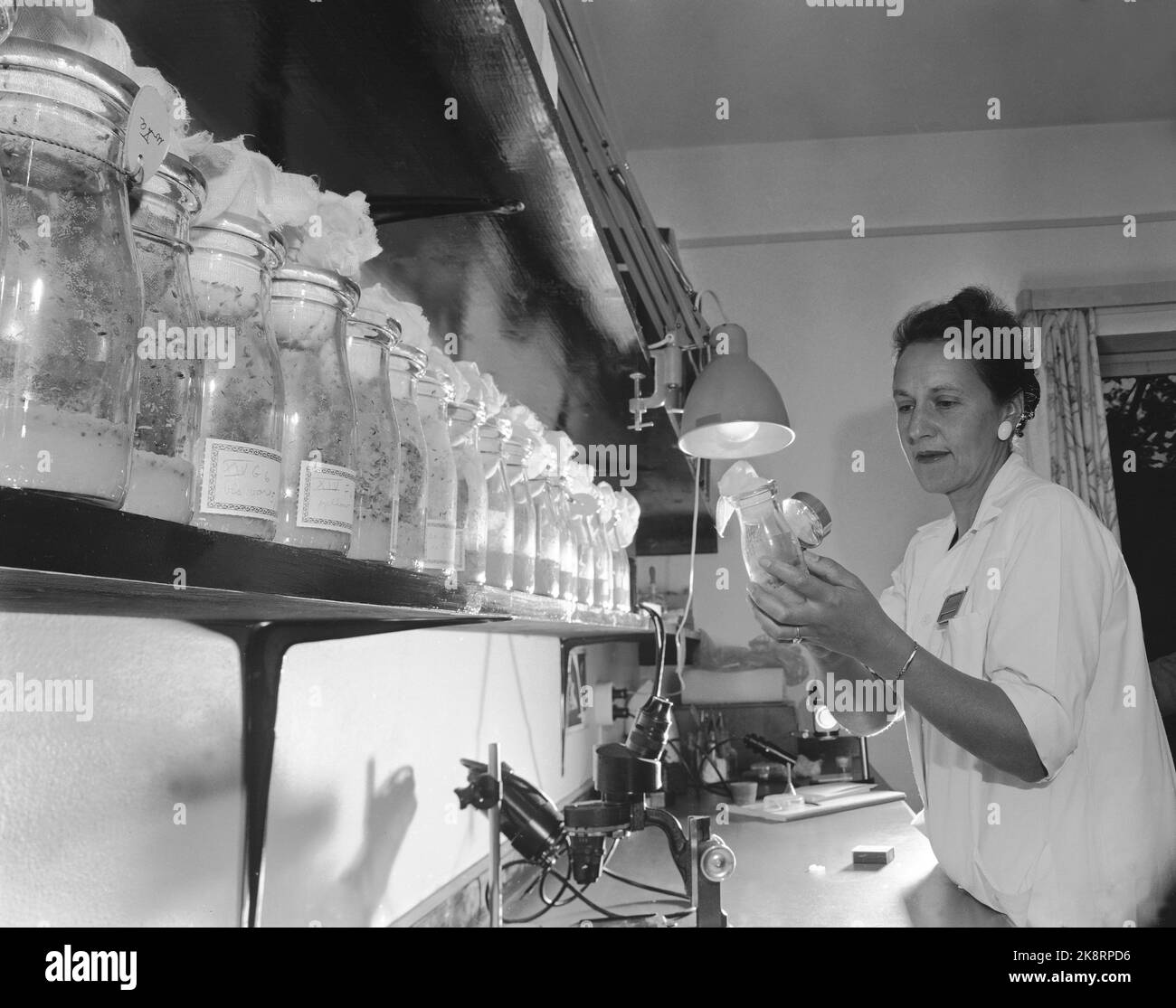 Stored objects Black and White Stock Photos & Images - Alamy Stored objects Black and White Stock Photos & Images - Alamy