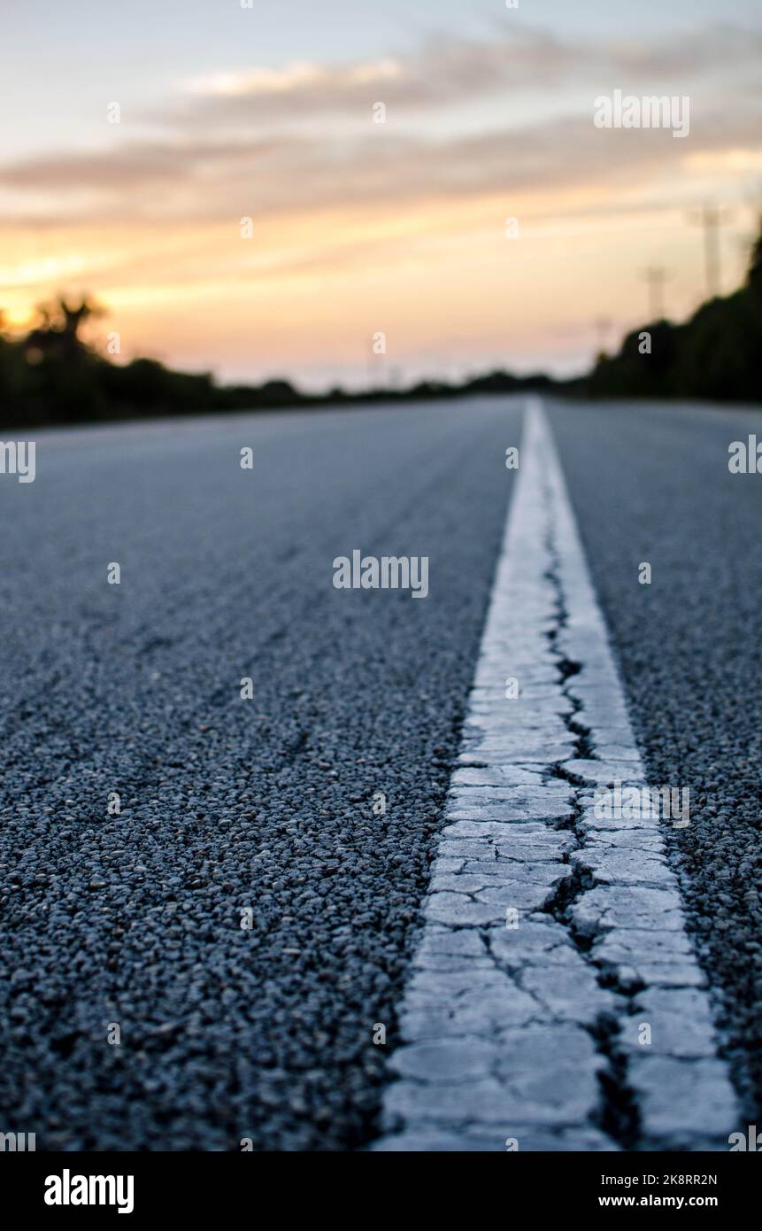 A vertical low-angle of asphalt at sunset with tree silhouettes around ...