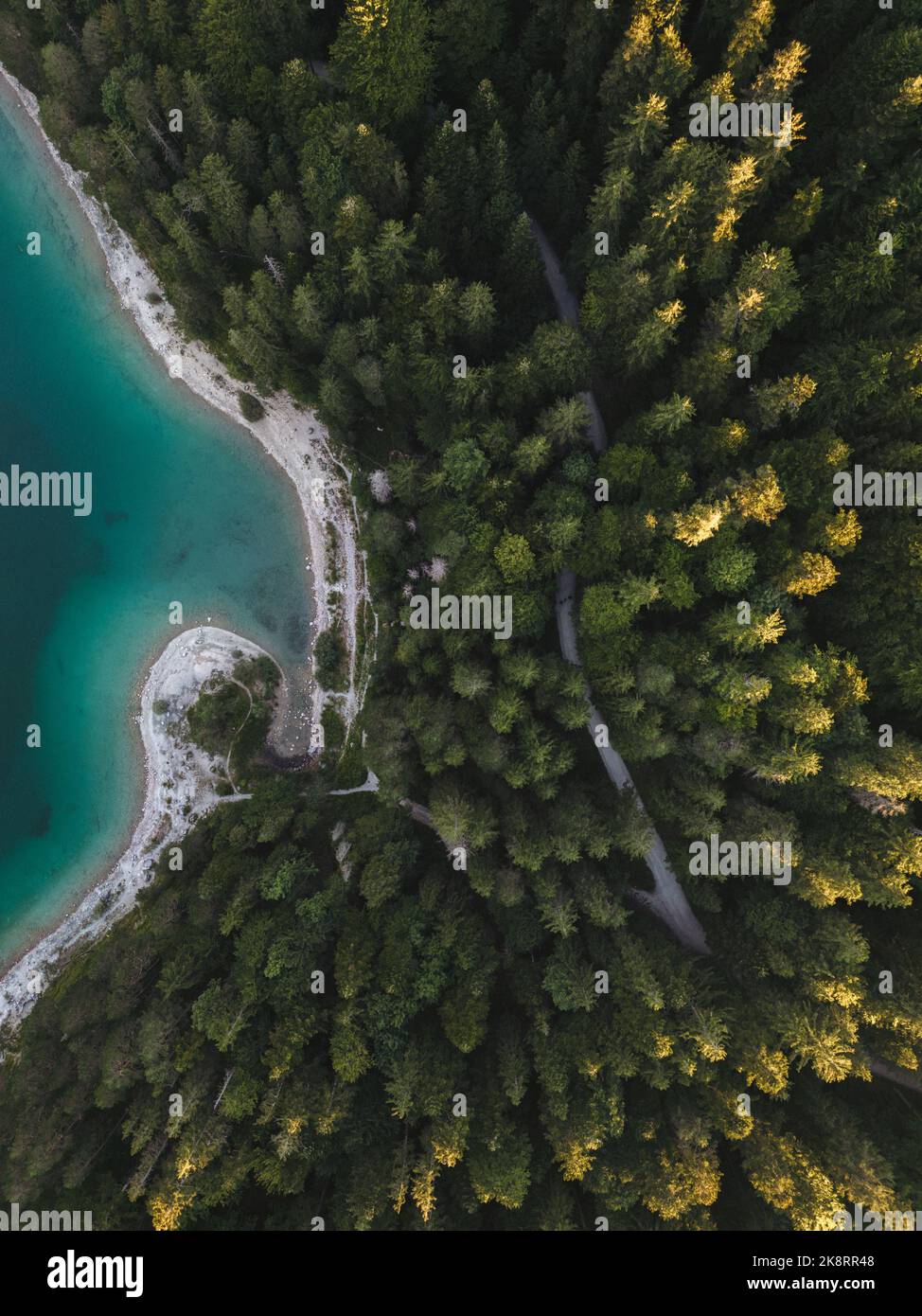 An aerial of a thick forest with yellow tops, narrow paths near ...