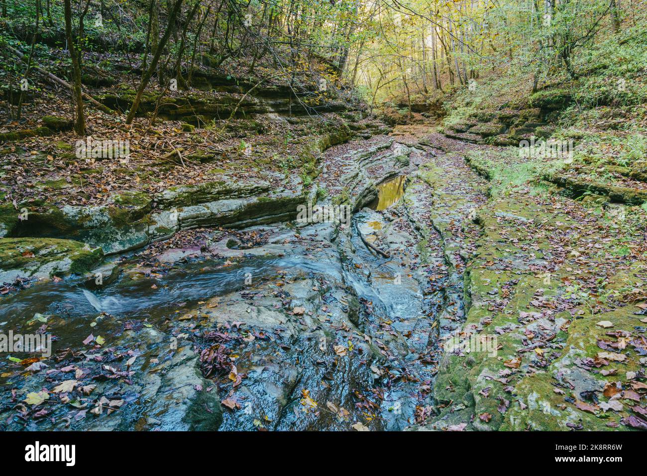 Raven Run creek and ravine in Raven Run Nature Sanctuary in Lexington ...
