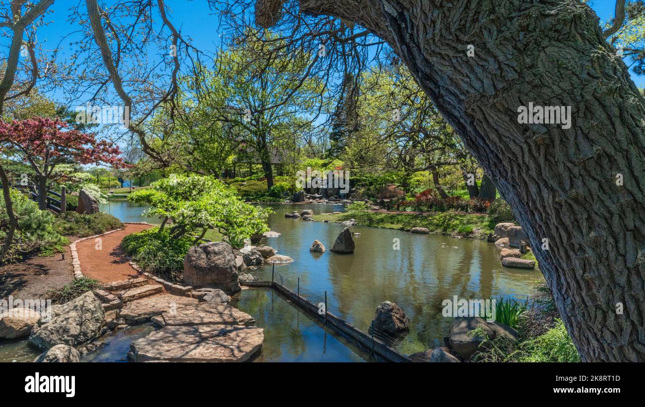 A view of botanical plants by the water under the blue sky in Jackson ...