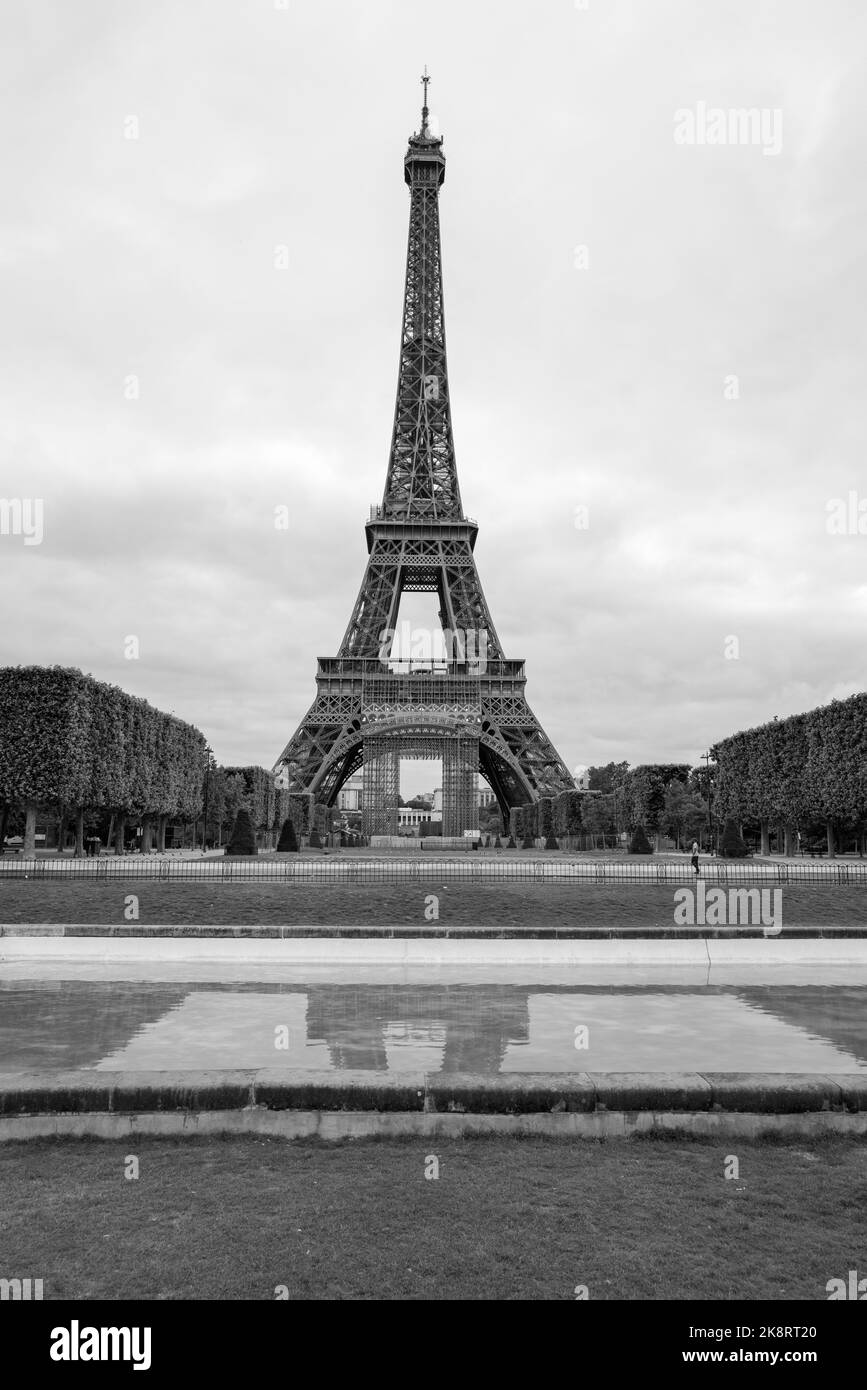 A vertical grayscale of the Eiffel Tower reflecting on the ground ...