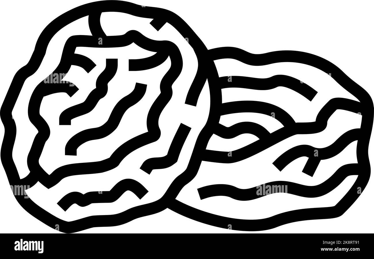 apricot dried fruit line icon vector illustration Stock Vector Image ...