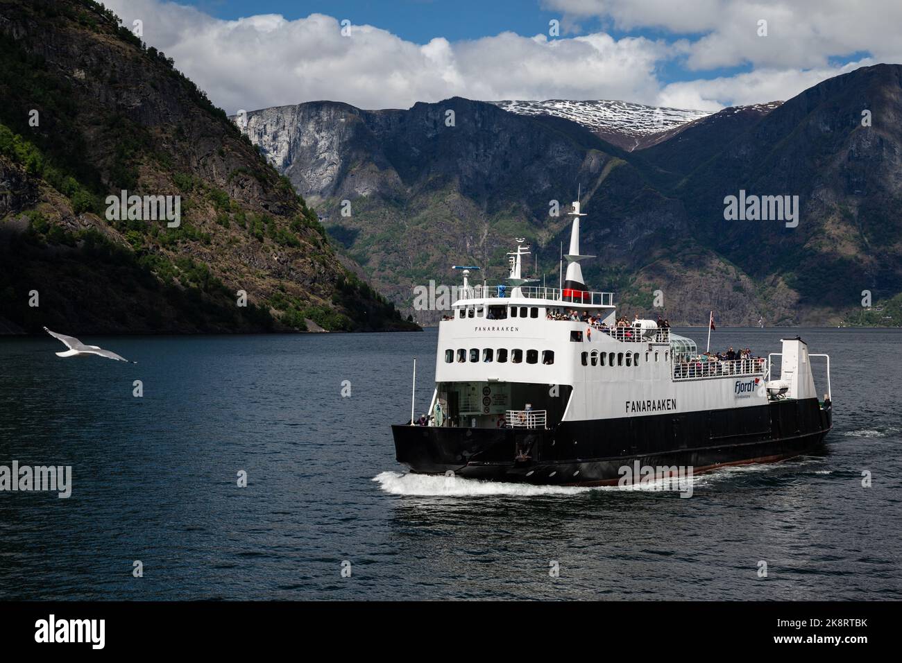 A large black-and-white ship sailing between the rocky mountains in ...