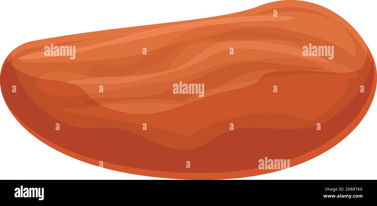 Fresh date fruit icon cartoon vector. Palm food. Arabic seed Stock ...