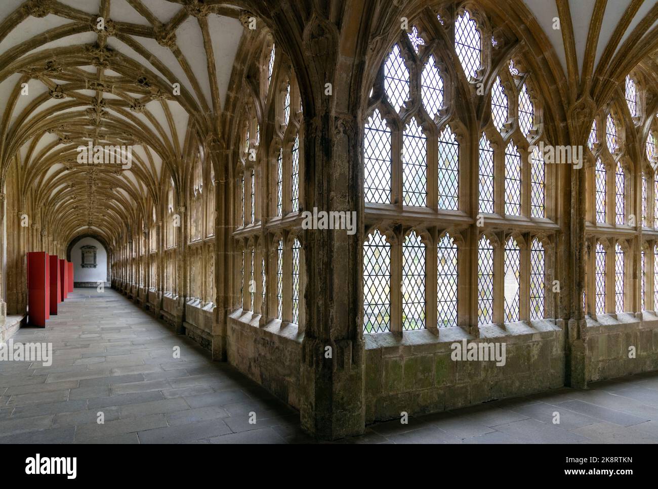 View along the cloister showing the lierne vault, Wells Cathedral ...