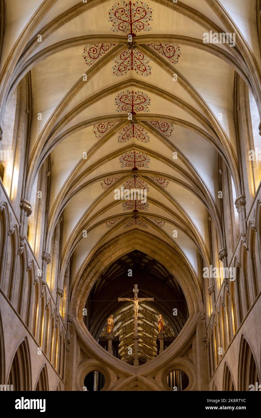 High vaulted ceiling of the nave of Wells Cathedral in Wells, Somerset ...