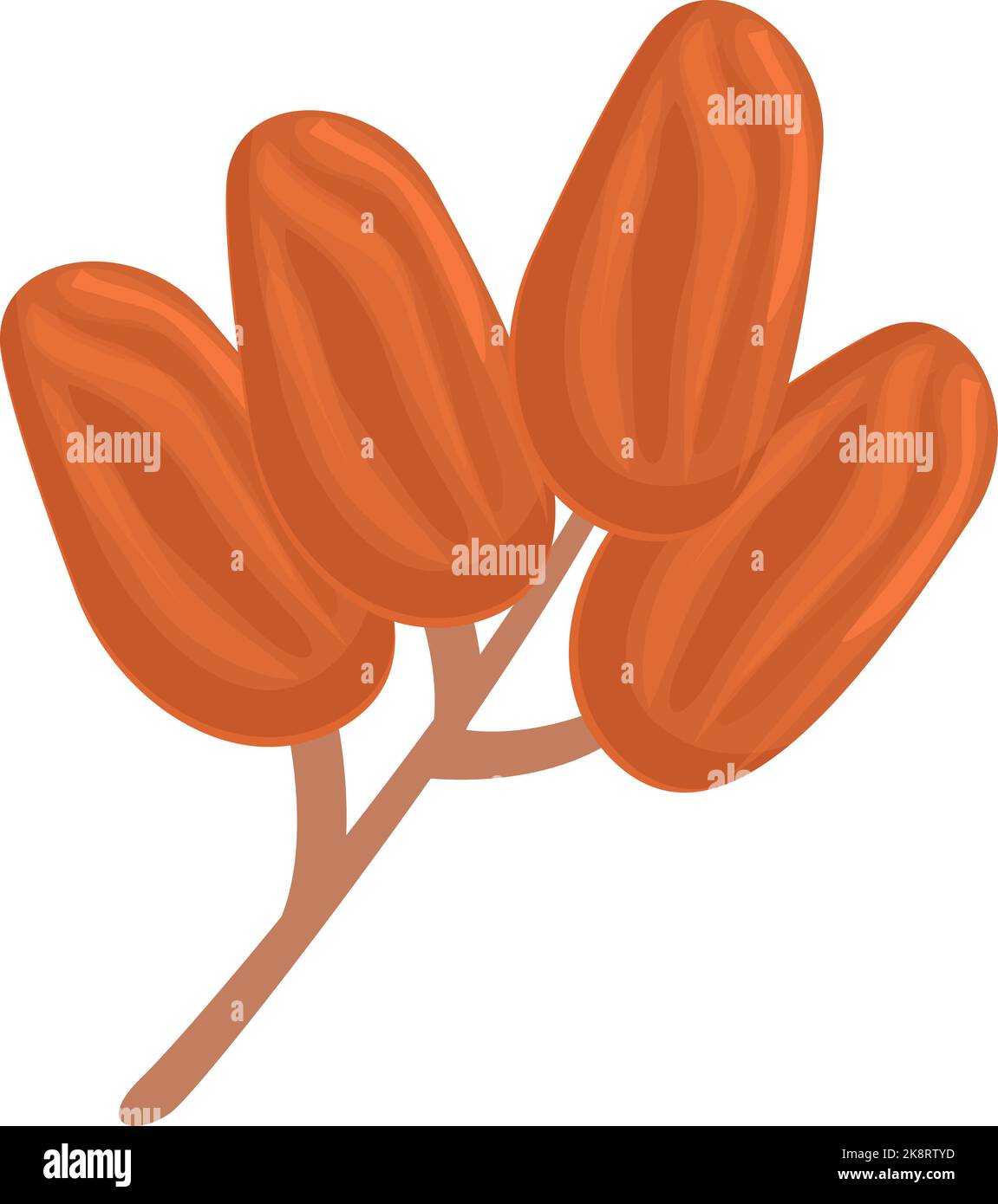 Date fruit icon cartoon vector. Palm food. Sweet fruit Stock Vector ...