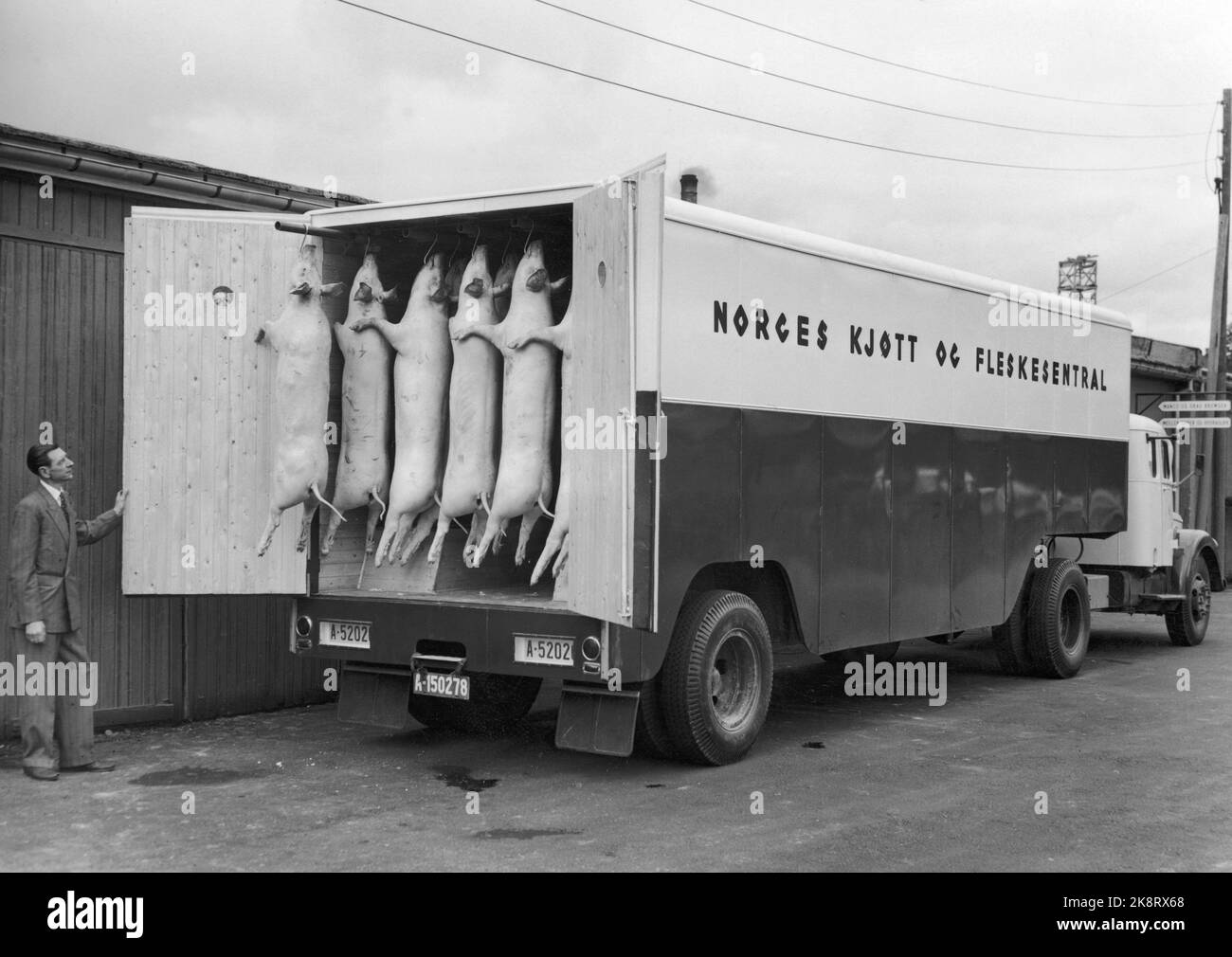 Load pigs hi-res stock photography and images - Alamy