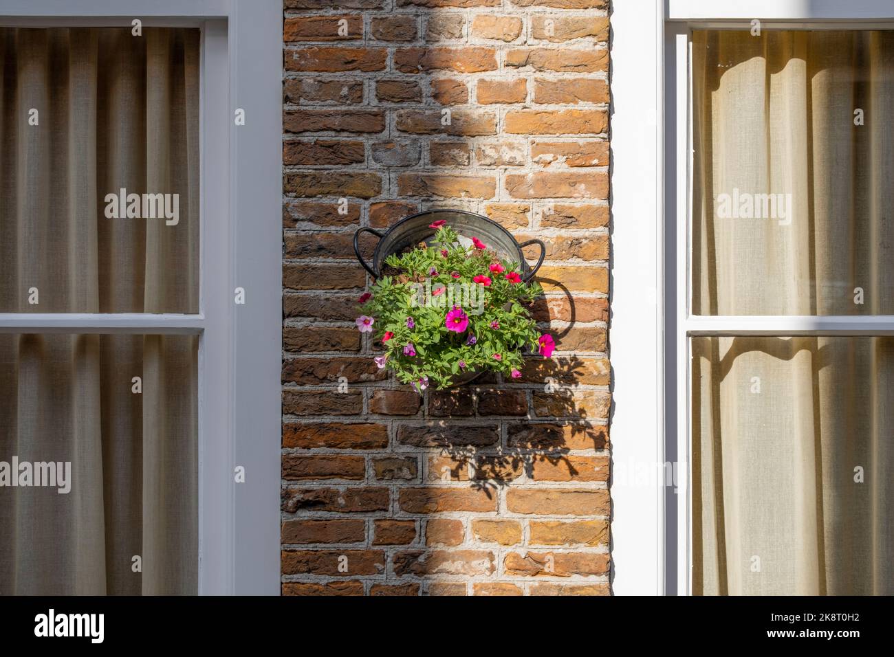 Multi-colored spring flowers hanging in a basket Stock Photo - Alamy