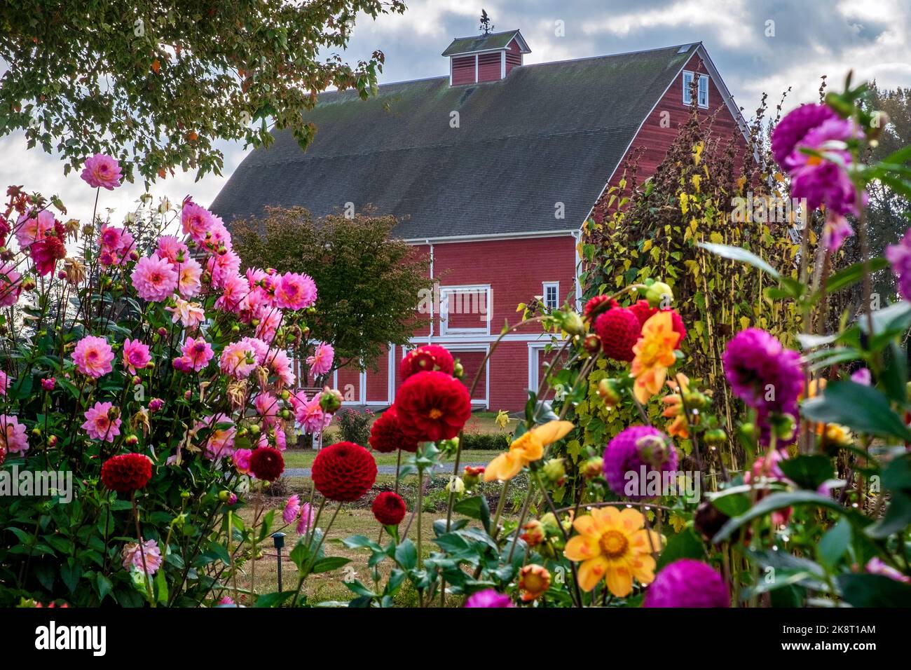 Hovander Homestead, Ferndale, Washington, USA, home of Swedish-American ...