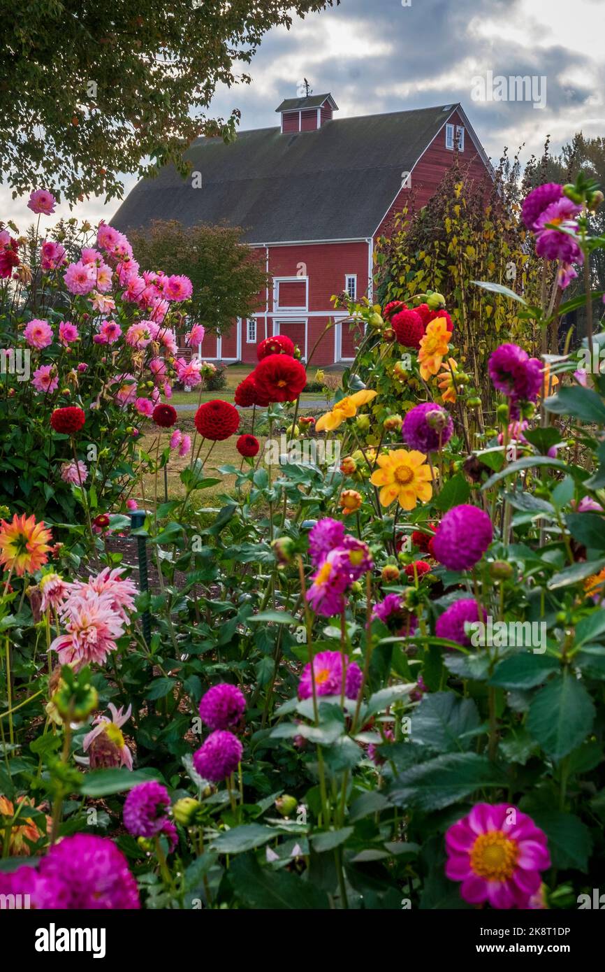 Hovander Homestead, Ferndale, Washington, USA, home of Swedish-American ...