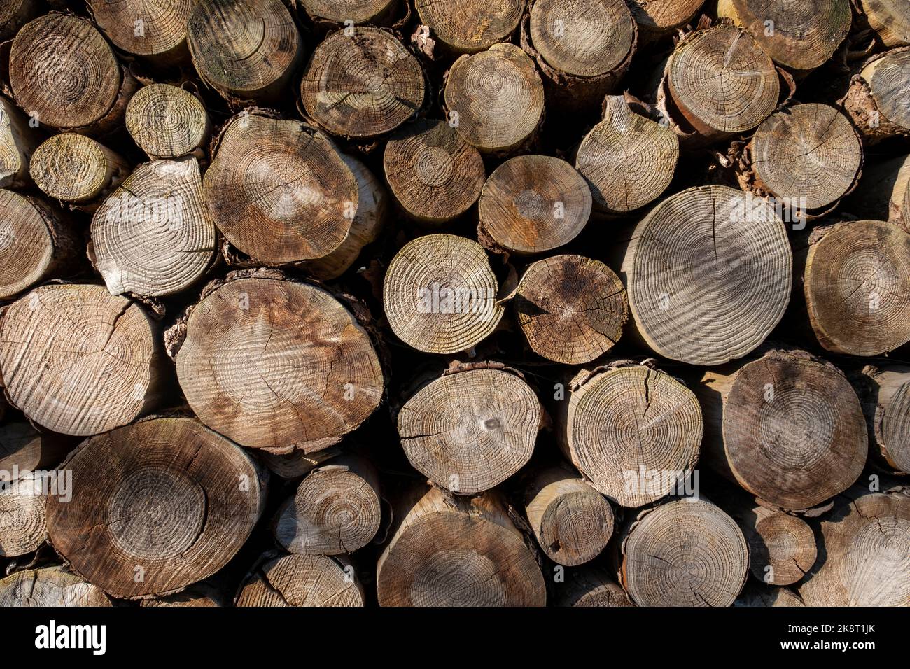 texture of wood log pile background Stock Photo - Alamy