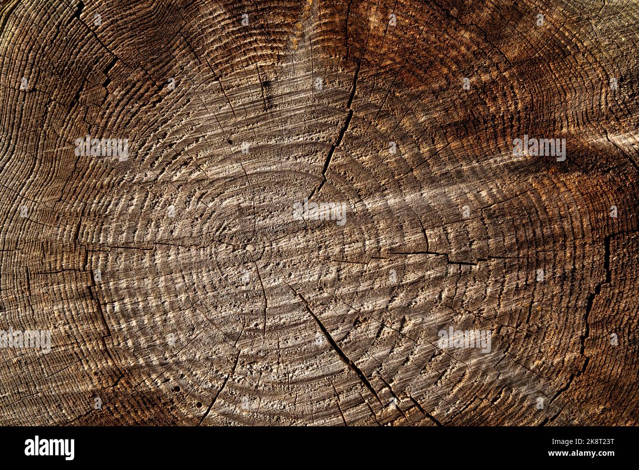 texture of wood log pile background Stock Photo - Alamy