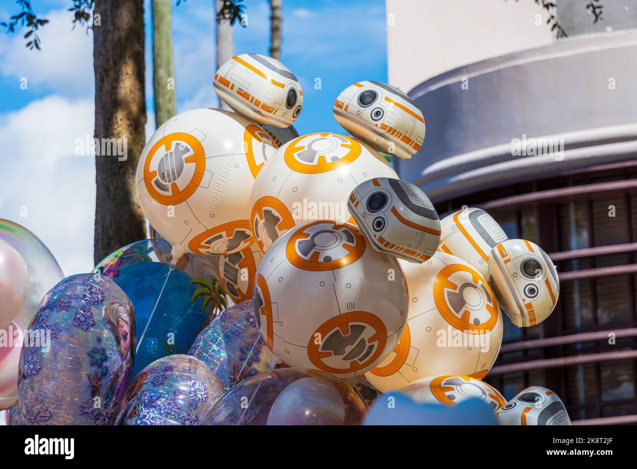 BB-8 balloons for sale at Hollywood Studios - Walt Disney World Resort, Lake Buena Vista ...